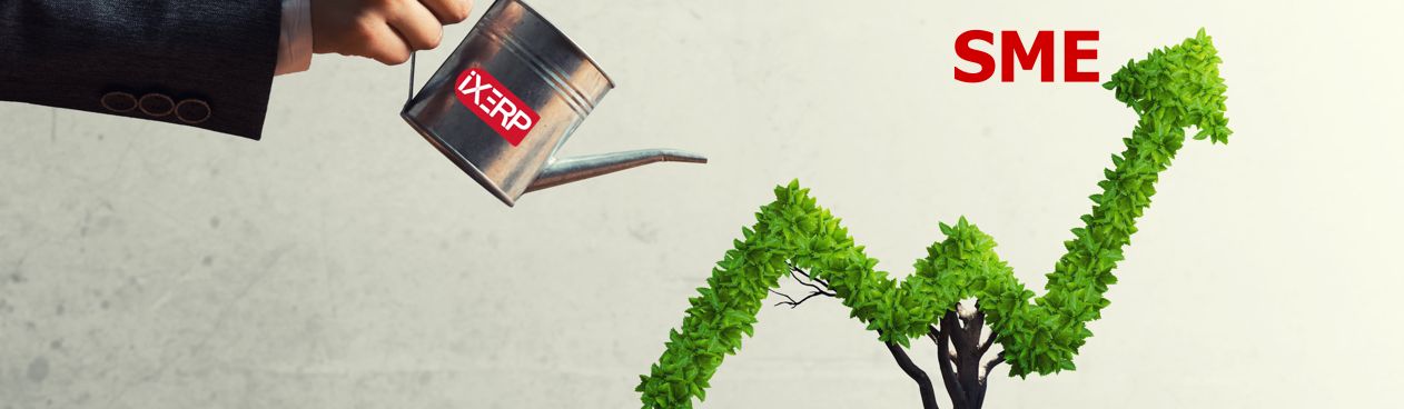 SME Cloud ERP Solution - iX ERP